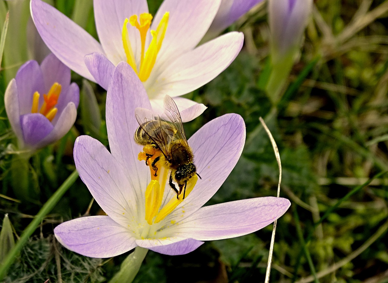 Eeva-Liisa Kovanen: Yllätys illalla — Jyväskylän kesäyliopisto